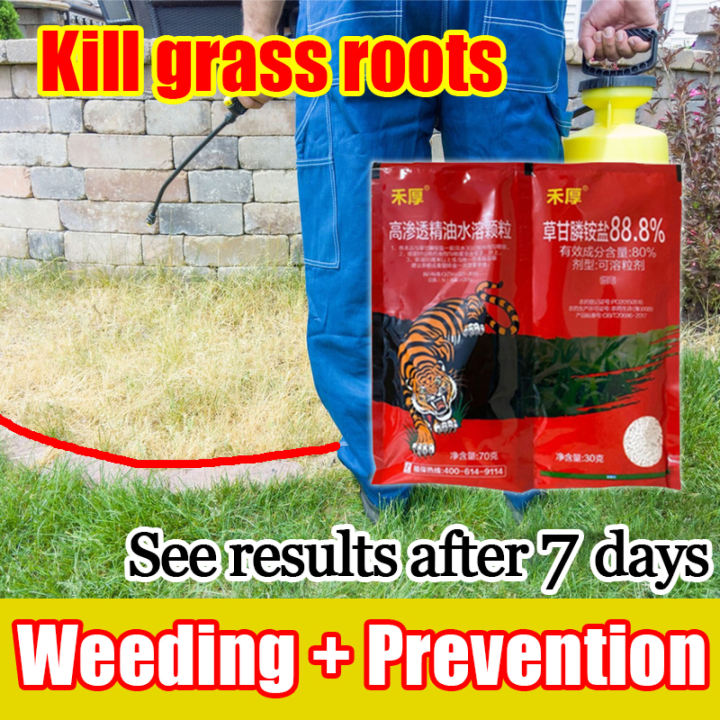 Herbicide for grass and weeds Weed and grass killer Grass killer ...