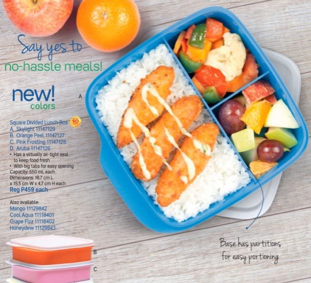 Tupperware Square Divided Lunch Box 550mL BUY 1 TAKE 1 | Lazada PH