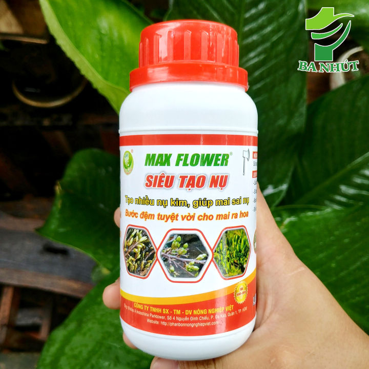 Phân Bón MAX FLOWER 250ml SIÊU TẠO NỤ Tạo Nhiều Nụ Kim, Giúp Mai Sai Nụ ...