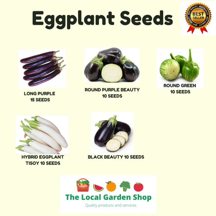 EGGPLANT SEEDS - TALONG HABA ROUND PURPLE TALONG PUTI | Lazada PH