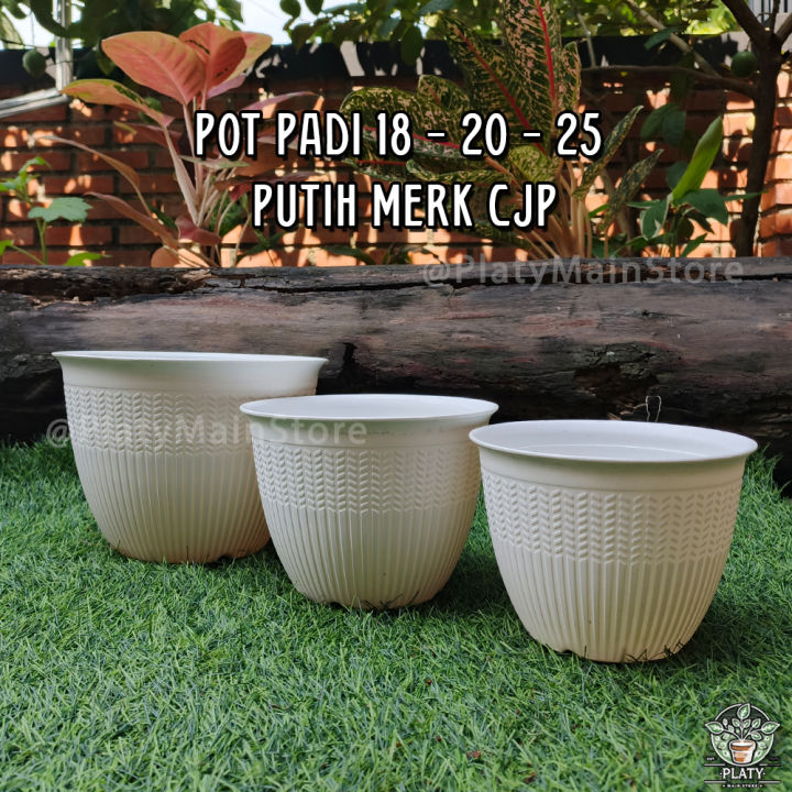 Pot Padi 18 20 25 Putih | Pot Putih | Merk Citra Jaya Plastik | Lazada ...