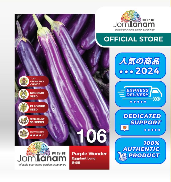 JOM TANAM Eggplant Seed/Benih Terung/茄子种子 Purple Wonder 106 (50 seeds ...