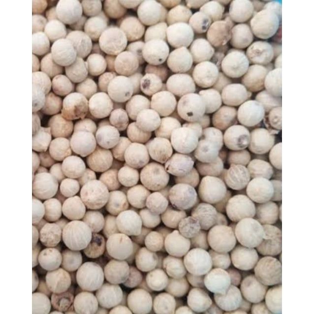 MERICA LADA PUTIH BULAT UTUH PREMIUM PILIHAN GROSIR LEBIH MURAH-1KG ...