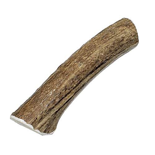 [PRE-ORDER] Elk Antler Bone for Dogs - Natural Four Brothers Elk ...