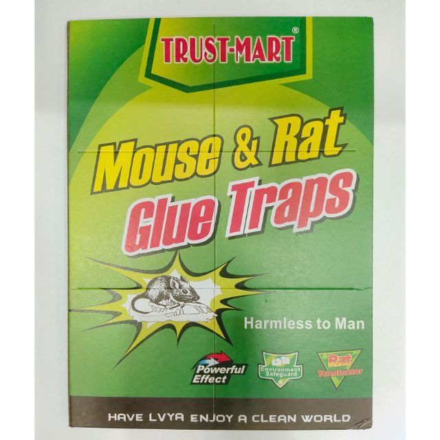 Mouse & rat glue traps sticker | Lazada PH