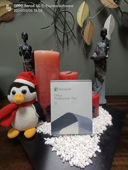 Microsoft Office Professional Plus 2021 English APAC DM Medialess package including 25 digit ...