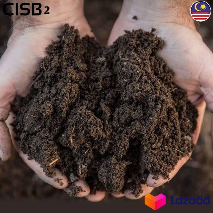 1KG - 4 in 1 Mixed Black Soil Tanah Hitam Organik Nutrient-Rich Humus ...