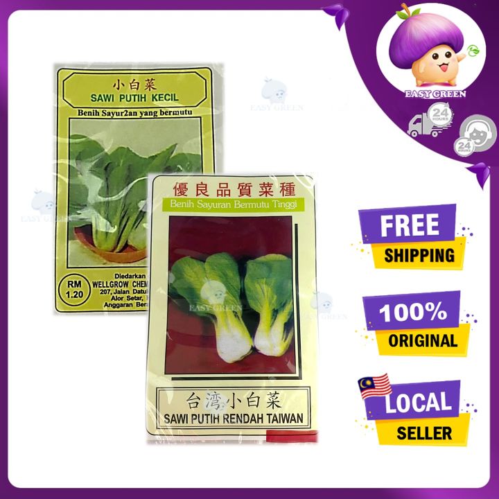 SFS SAWI PUTIH TAIWAN/SAWI KECIL/WG SAWI PUTIH RENDAH/SAWI PUTIH KECIL ...