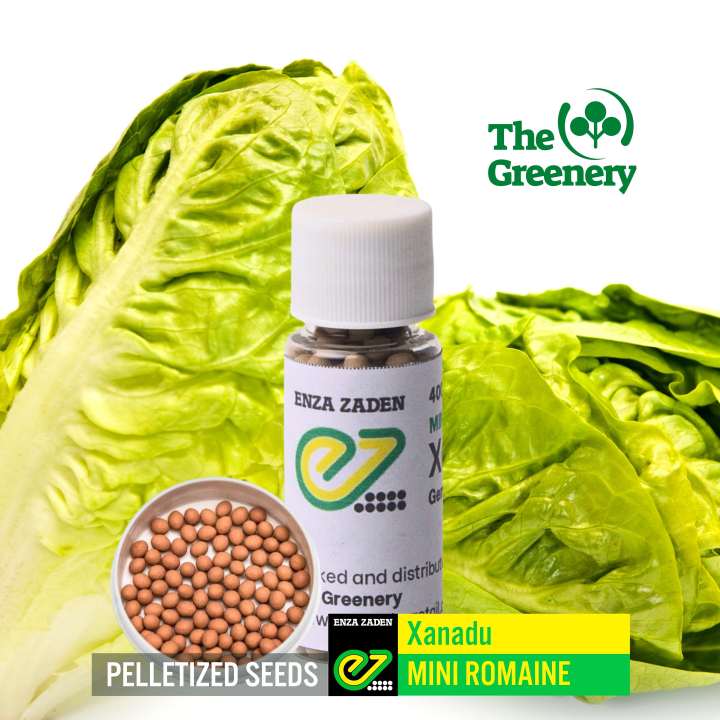 Xanadu Mini Romaine Lettuce Seeds | Pelletized | 50-400 Pills | Lazada PH
