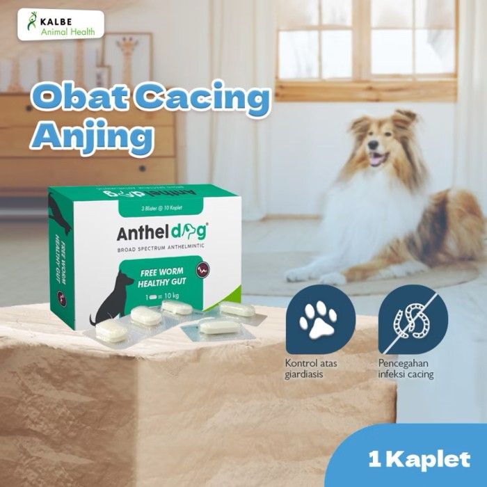 Anthel dog 1 tablet obat cacing anjing antel dog | Lazada Indonesia