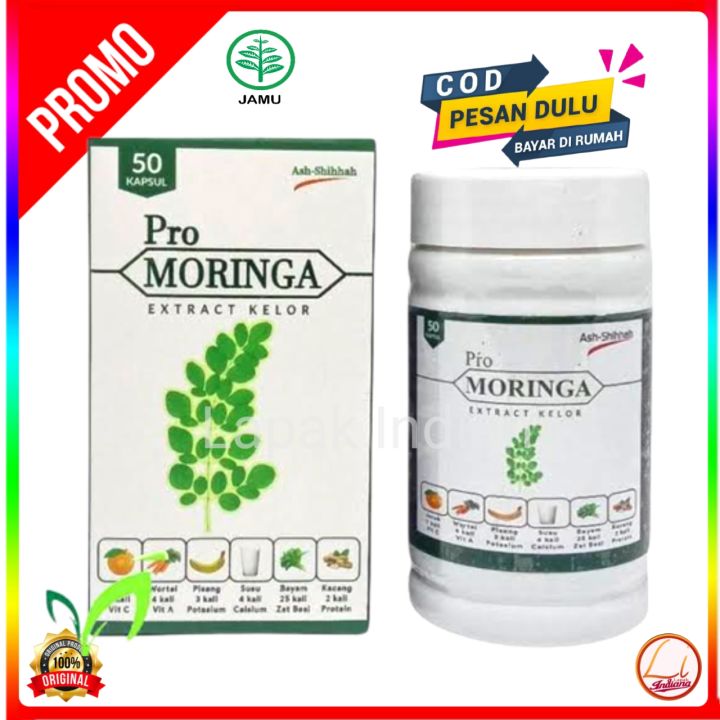 Kapsul Daun Kelor Obat Herbal Segala Penyakit Daun Ajaib Kapsul