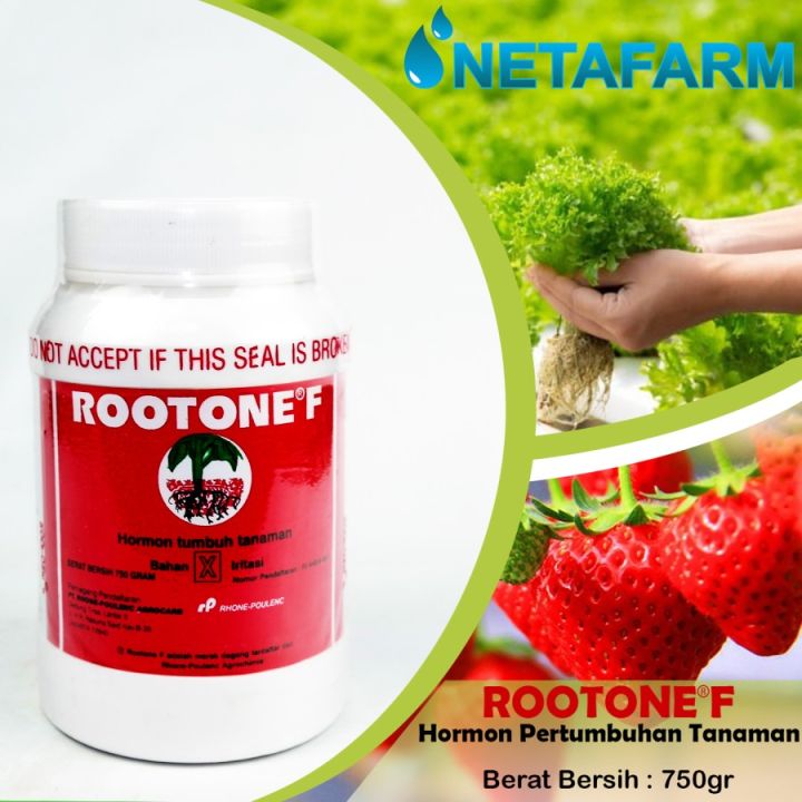Rootone F 750 gr Hormon Pertumbuhan Akar Mengandung Fungisida - 1 pcs ...