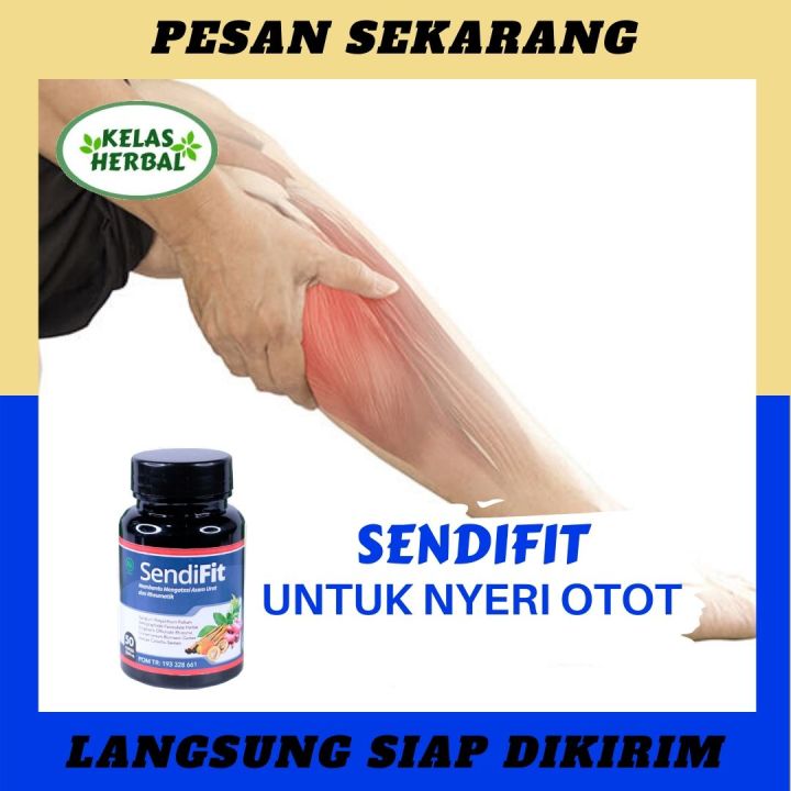 Obat Pereda Nyeri Otot / Obat Nyeri Otot dan Sendi / Obat Nyeri Otot ...