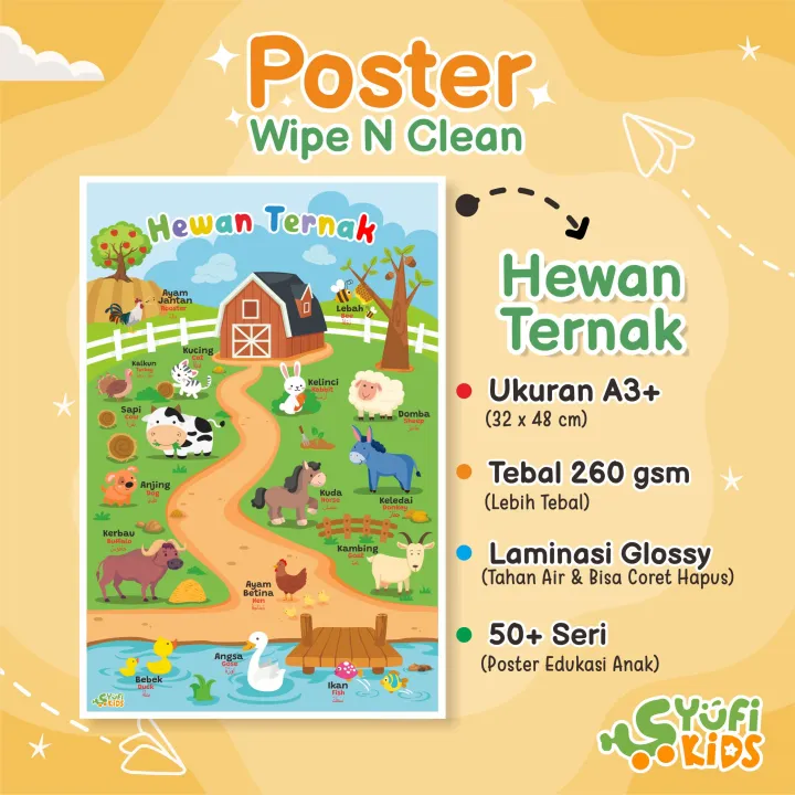 Poster Edukasi Anak Seri Hewan Ternak | Lazada Indonesia