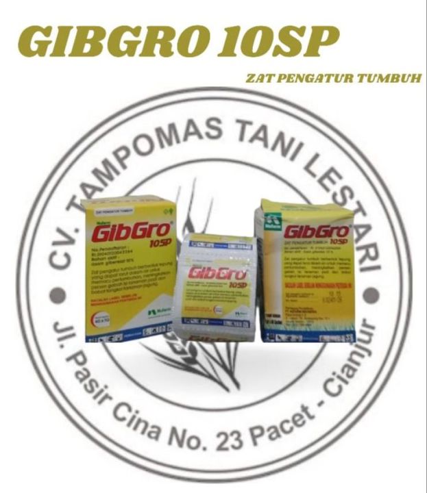 Zat pengatur tumbuh Gibgro 10SP 1 Gram | Lazada Indonesia