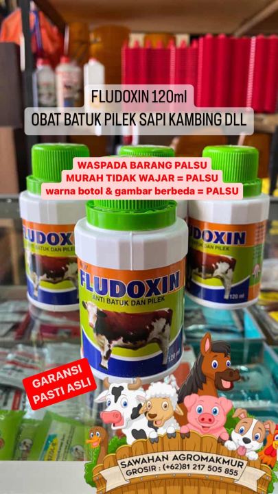 FLUDOXIN 120ml obat batuk pilek sapi kambing pedet cempe kuda babi obat ...