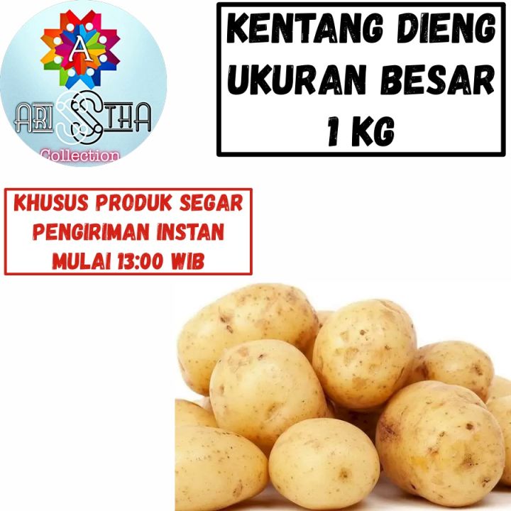 Kentang Dieng Kemasan 1 Kg Kecil Normal Besar | Lazada Indonesia