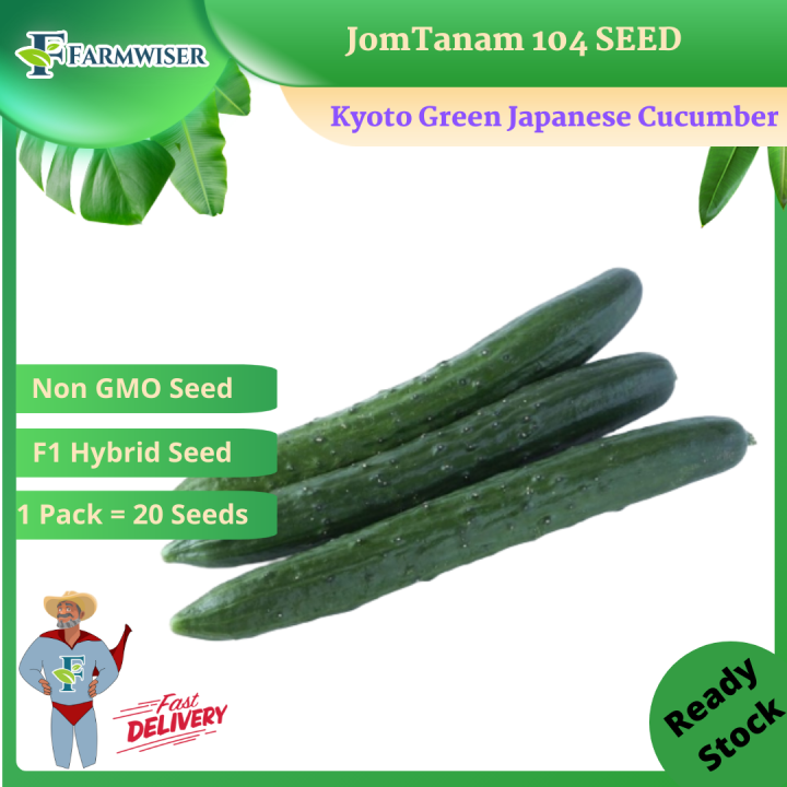 JomTanam Kyoto Green Japanese Cucumber NON GMO SEED, F1 Hybrid seed ( 1 ...