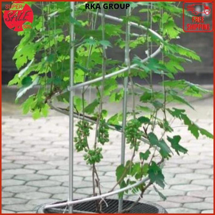Tiang Rambatan Tanaman Anggur Kualitas Premium | Lazada Indonesia