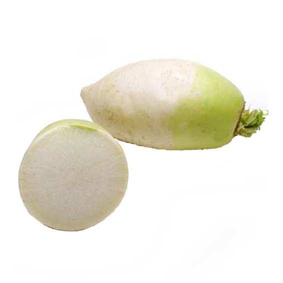 Korean Radish (500-600g) | Lazada PH