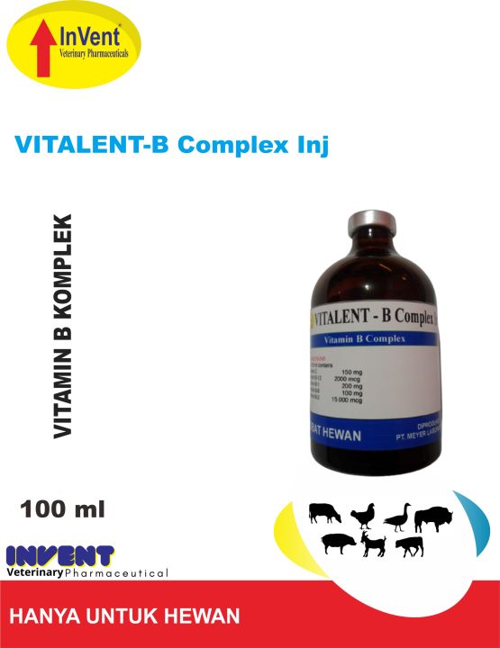 Obat Hewan VITALENT-B Complex Inj Invent - Vitamin b Complex | Lazada ...