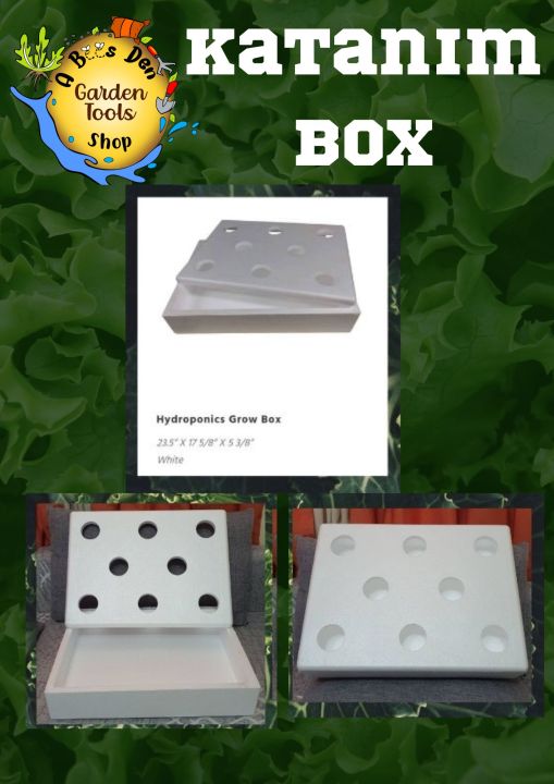 Katanim Box with 8 Holes | Styrocups with Slits | For Hydroponics ...
