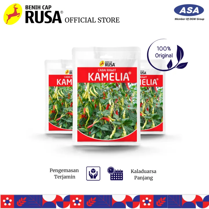 Sahabat Rusa - 2.500 BENIH BIBIT BIJI CABE RAWIT PUTIH KAMELIA - 10 ...