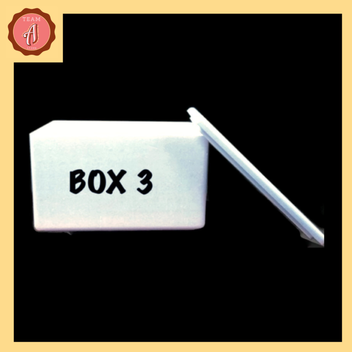 Styrobox (Box 3) Ice Chest Rectangle Styrofoam Container | Lazada PH