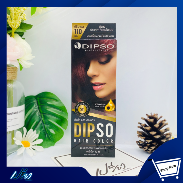 DIPSO ดิ๊พโซ่แฮร์คัลเลอร์ S15Dipo Her Caller S15 | Lazada.co.th