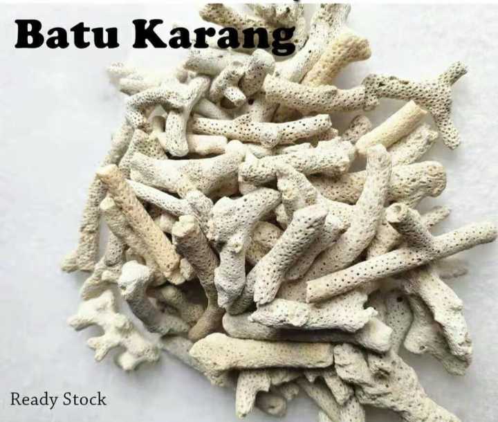 AQUARIUM Natural Coral Bone Stone Filter Media for Fresh & Marine ...