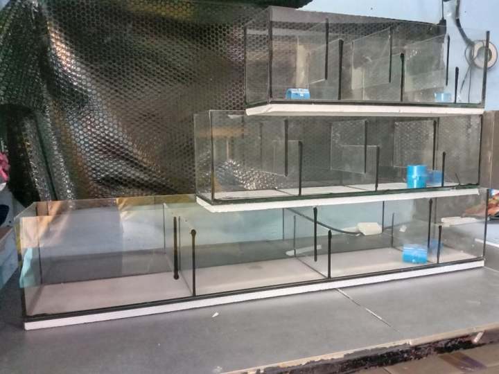 sump Overhead aquarium fish tank filter over head | Lazada PH