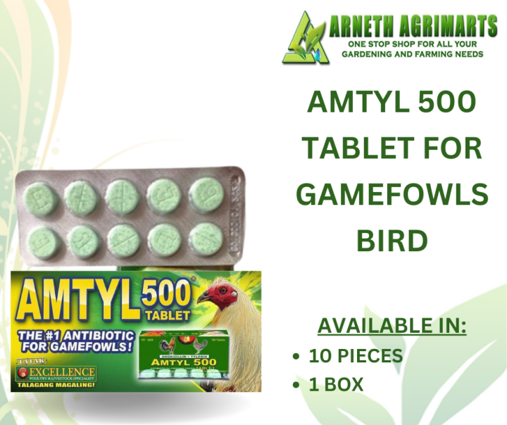 AMTYL 500 TABLET FOR GAMEFOWLS BIRDS 1 BOX / 10PCS ISANG BANIG | Lazada PH