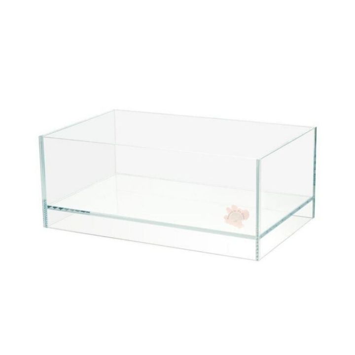 [Tank Only] Crystal Clear Glass Line Up Shallow Rimless Tank (Terrarium ...