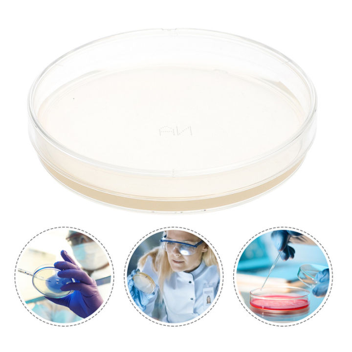 HOMEMAXS 10 Pcs Nutrient Agar Plate Childrens Wellies Glass Dish Lid ...