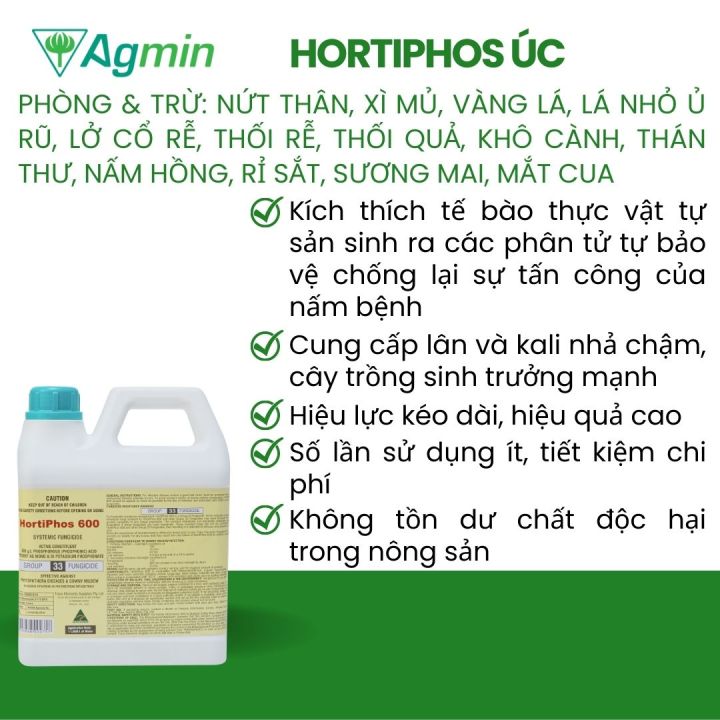 Chế phẩm trừ nấm Hortiphos 600 - Diệt trừ phytophthora (thán thư), sương mai, thối rễ, xì mủ ...