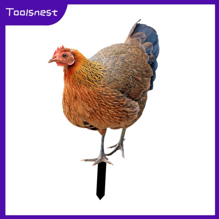 Toolsnest Garden Rooster Stake Hen Figures Easter Decor Weatherproof ...