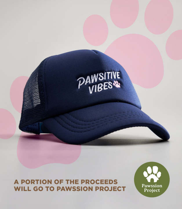 PV (BLUE) | Lazada PH: Buy sell online Hats & Caps with cheap price ...