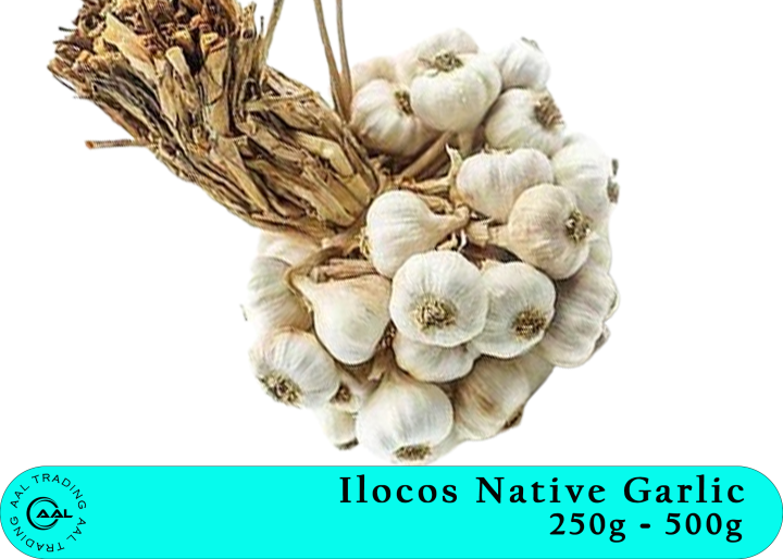 Ilocos Native Garlic / Bawang - 250g I 500g | Lazada PH