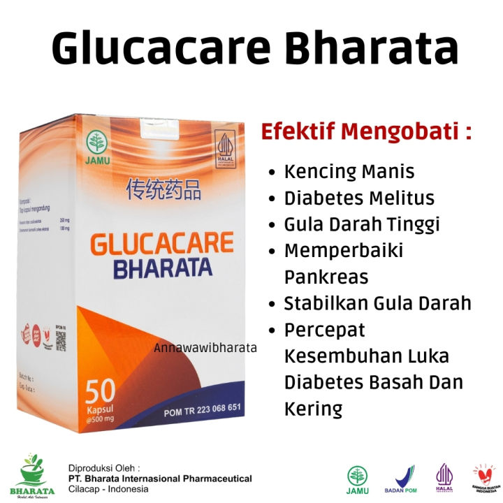 Obat Diabetes, Kencing Manis, Gula Darah Tinggi, Percepat Sembuh Luka ...