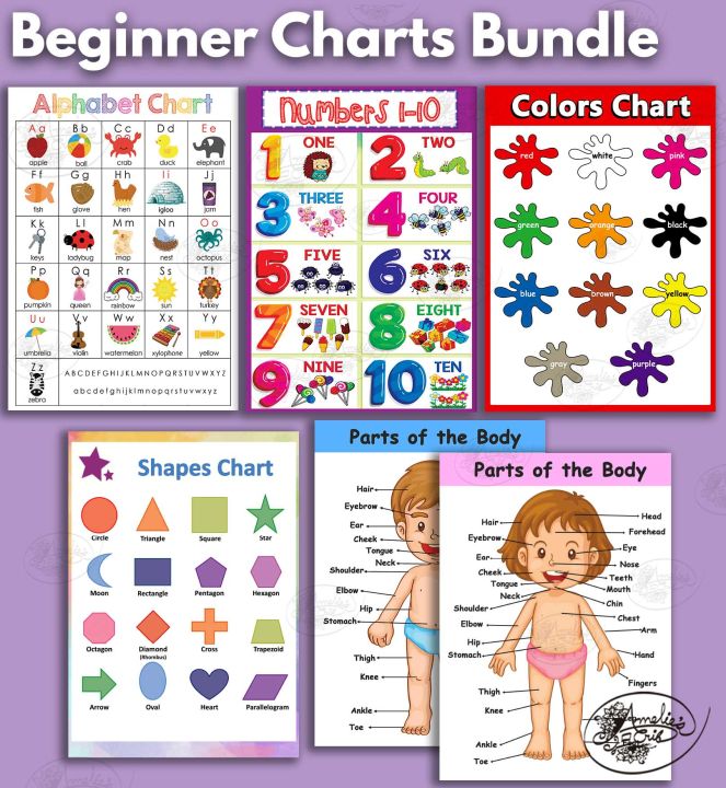 Bundle of 5 (Girl) Beginner Minimalist Laminated Educational Charts for ...