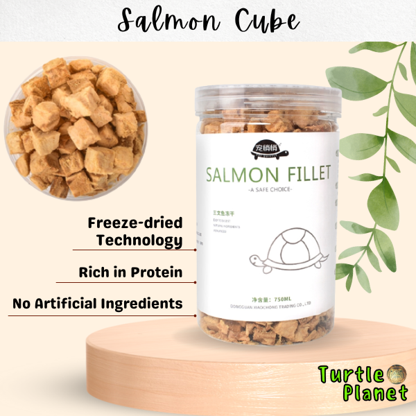 Salmon Cube Snacks for Turtle Hamster Makanan Kura Kura Kucing (10g ...
