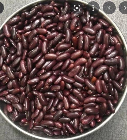 Authentic Rajma LAL Kidney Beans, 1KG - by ANNALAN Online Shop | Lazada PH