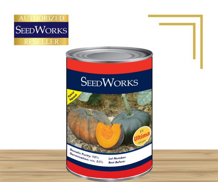 SEEDWORKS ULTIMA F1 HYBRID SQUASH KALABASA SEEDS | Lazada PH