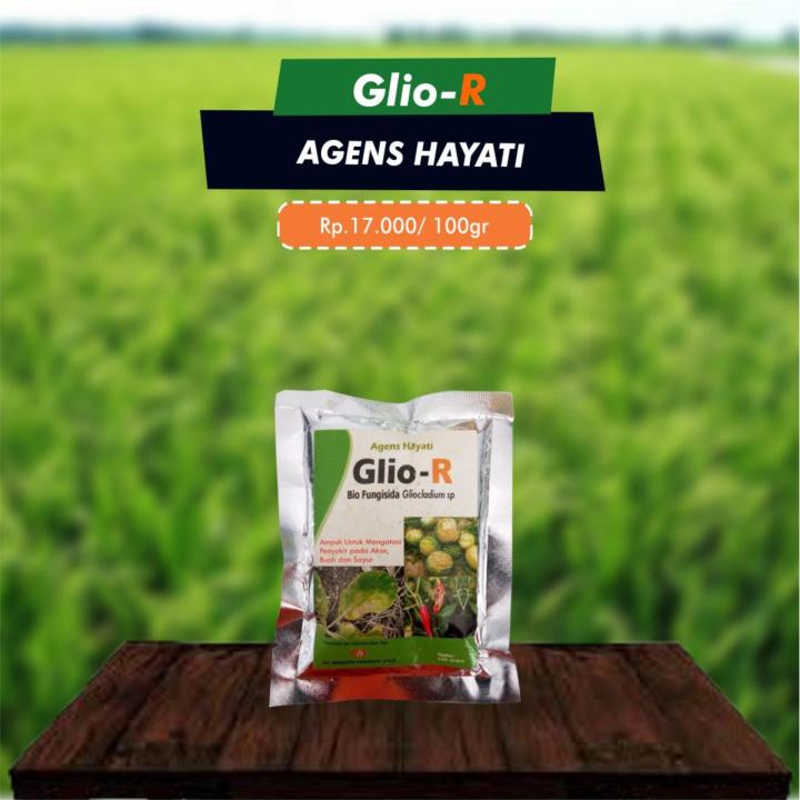 Agens Hayati - Pengendali penyakit pada tanaman - Glio 100gr | Lazada ...
