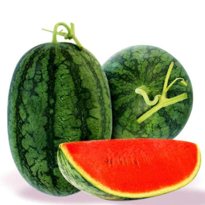 Hạt giống Dưa Hấu F1 Hắc Mỹ Nhân Nongnghiepxanh 1G hat giong sach hat ...