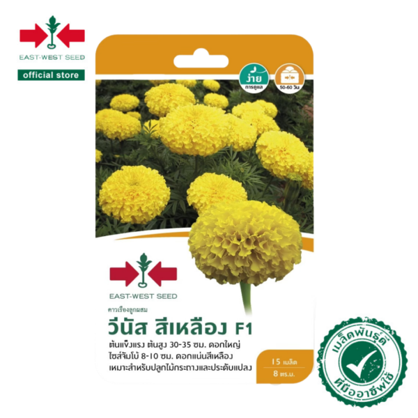 ดาวเรือง วีนัส สีเหลือง 15เมล็ด ศรแดง | Lazada.co.th