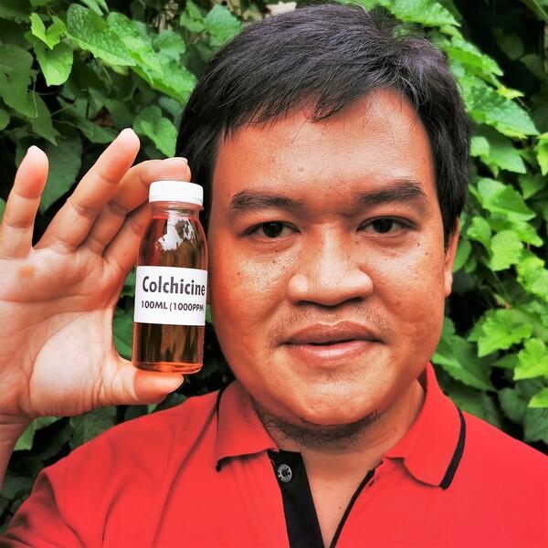 Hormon Tanaman Colchicine Kolkisin 100ml Mutasi Raksasa Polipoid ...