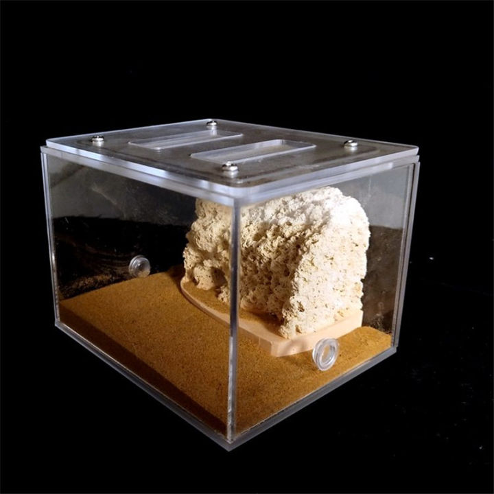 Sand Included Bionic Acrylic & Gypsum Ant Nest Housing Ants Farm ...