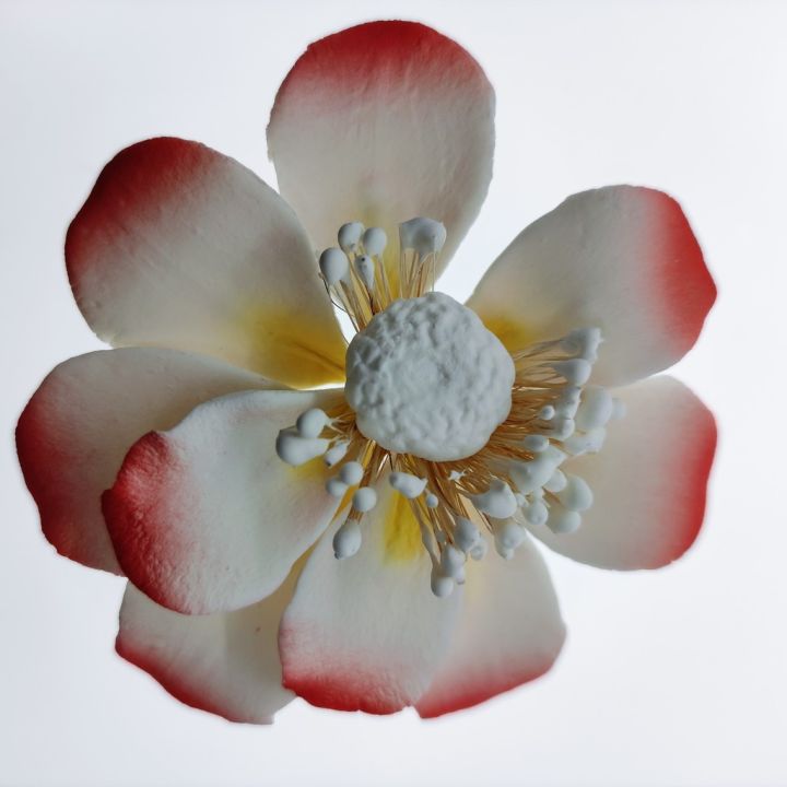 Poppy Anemone Red Edible Cake Topper Gumpaste Flowers | Lazada