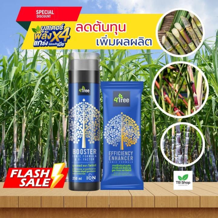 4Tree Booster บูสเตอร์โฟร์ทรีของแท้ เพิ่มผลผลิต ลดต้นทุน ใช้ได้กับพืช ...